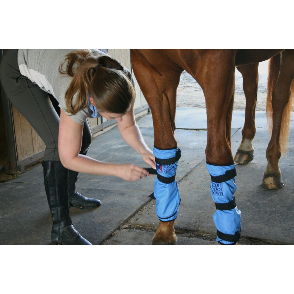 Equi Cool Down Leg Wraps – K&N Equine Solutions