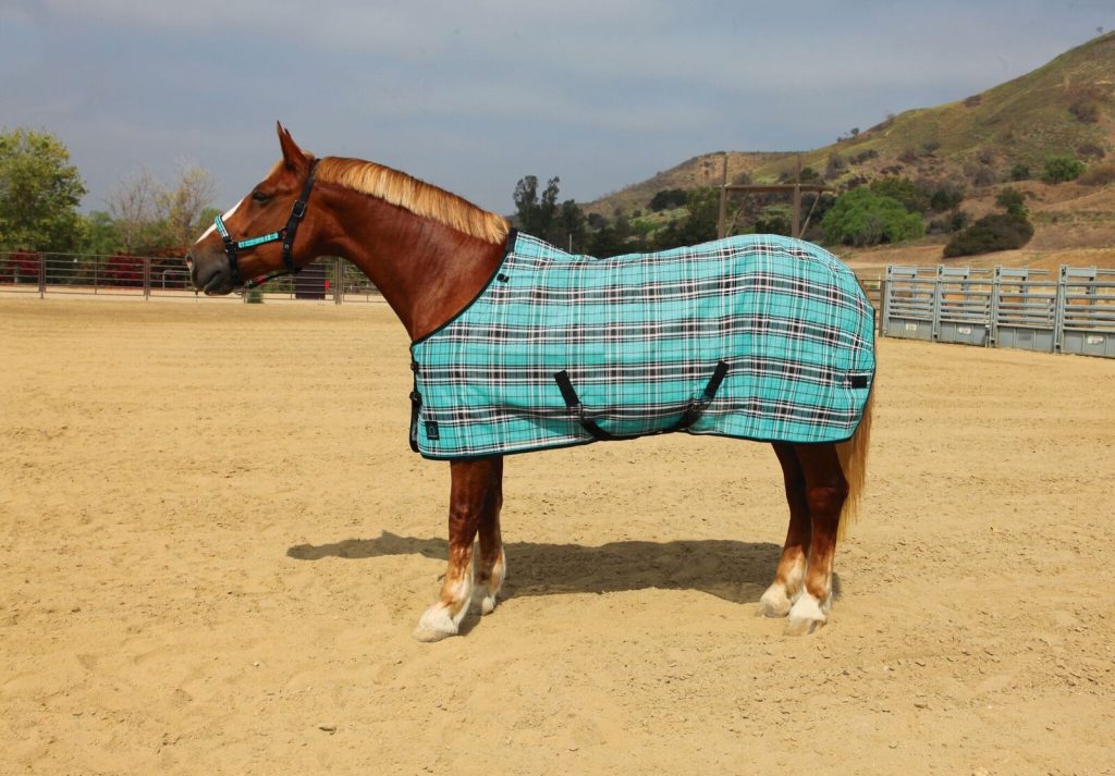 Kensington SureFit Fly Sheet- Call for availability and addl color ...