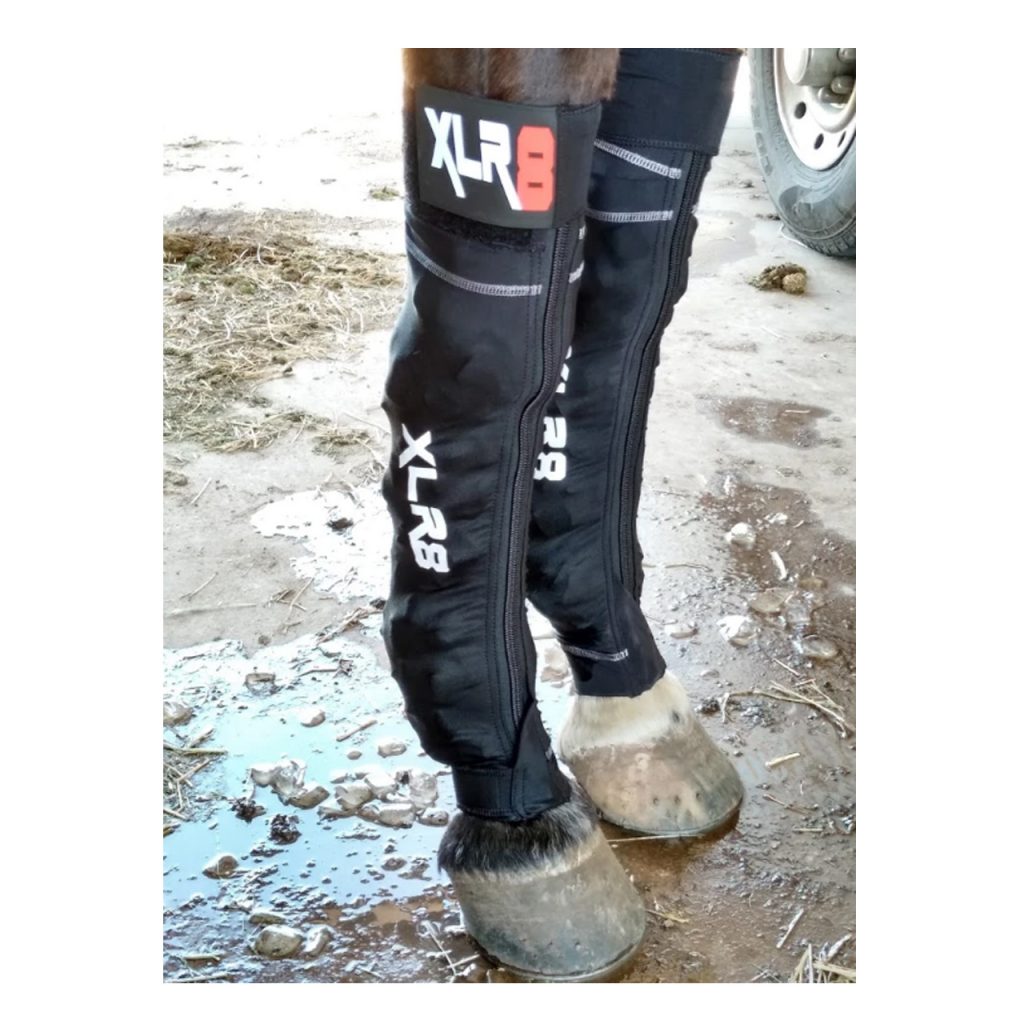 XLR8 Cryo Boot – K&N Equine Solutions